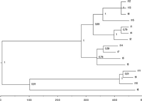 Figure 15 From A Phylogenetic Model Of The Evolution Of Discrete
