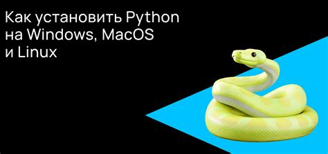 Как установить Python на Windows Macos и Linux