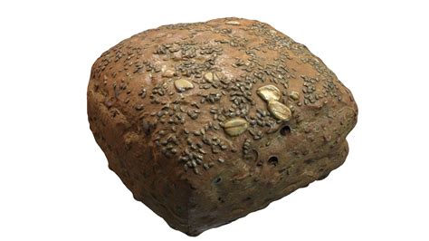 Multigrain Bread Model Turbosquid 2052633