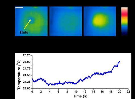 Thermal Characterization Of Pdms Layer A Thermal Images Top View