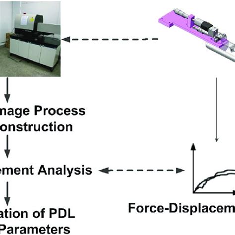 The Research Protocol Of The Study Download Scientific Diagram