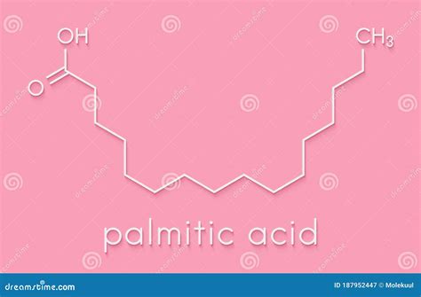 Palmitic Hexadecanoic Acid Saturated Fatty Acid Molecule Skeletal