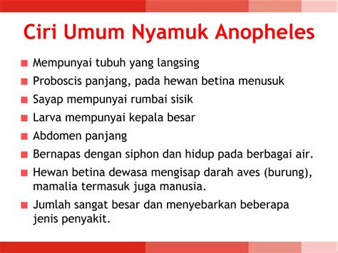 Modul 20 Malaria Ppsx