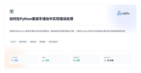 Python Socket 错误处理：实现健壮的网络应用 Labex