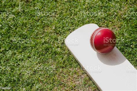 Bola Kriket Pada Kelelawar Kriket Di Lapangan Foto Stok Unduh Gambar