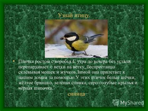 Презентация на тему Кто такие птицы Окружающий мир учебник А А