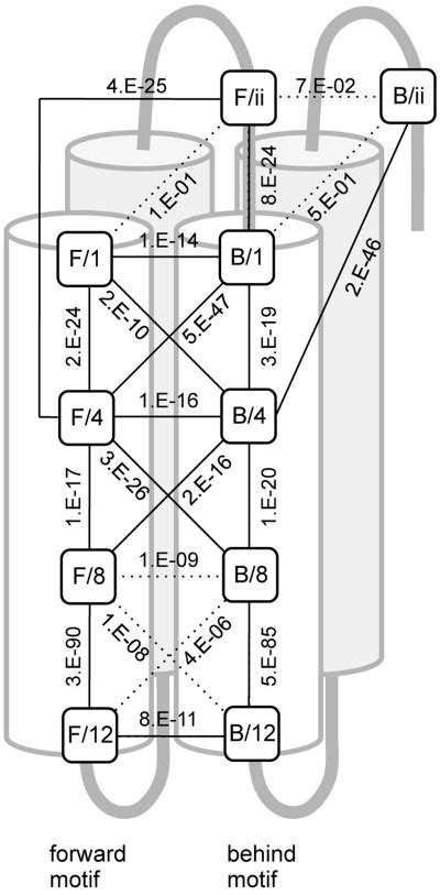Statistical Analysis For The Intra And Inter Motif Connections The Download Scientific