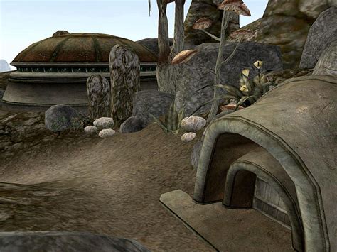 Некромант Васа The Elder Scrolls Wiki Fandom