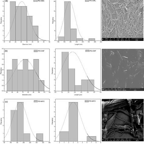 Fesem Analysis Of Cellulose A Po Cnc B Po Cnf And C Po Mfc