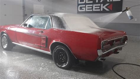 1967 Mustangs First Wash In 20 Years Reveals Live Mice Iconic 351