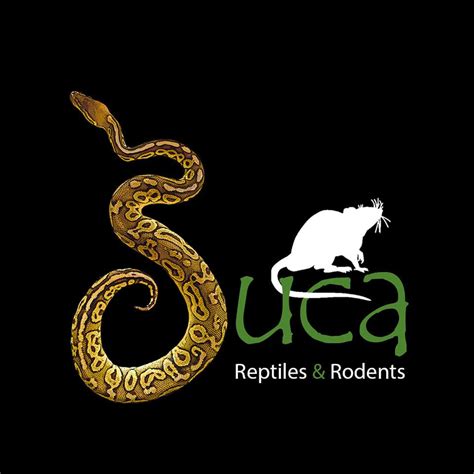 Suca Reptiles And Rodents Vinica