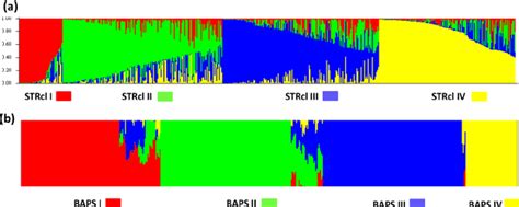 population structure of 531 safflower accessions at k 4 derived using