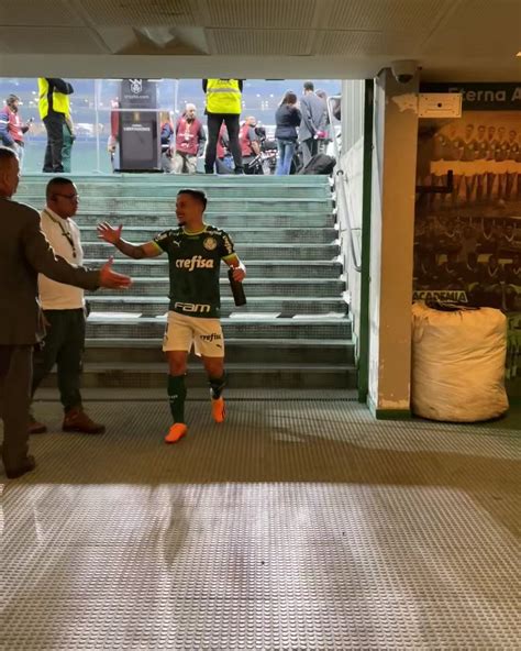 ˢᵉᵖEvi on Twitter RT Palmeiras CLASSIFICADOS minha Cria