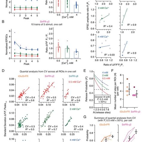 Patch Clamp Fluorometry Of Snfr γ2 And Snfr γ8 In Hek Cells A
