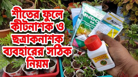 শীতে এইভাবে পোকার ওষুধ না দিলে গাছের হবে ক্ষতি কিভাবে বাঁচবেন আপনার