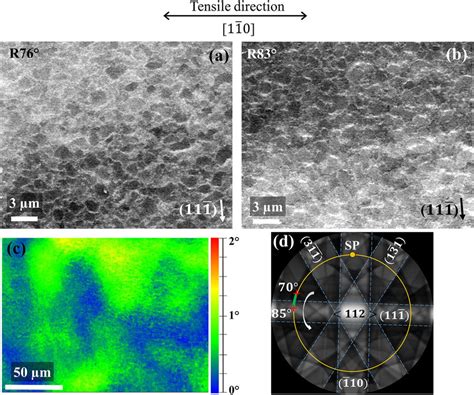 A And B Dislocation Structure In The As Received Cu Single Crystal Download Scientific