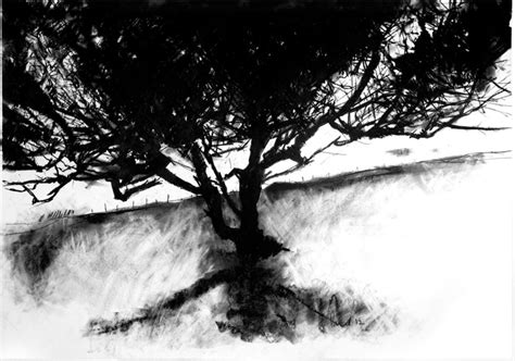 Charcoal Drawings Paul West Art