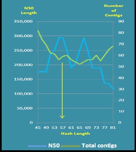 empirical test with different values of hash lengths download