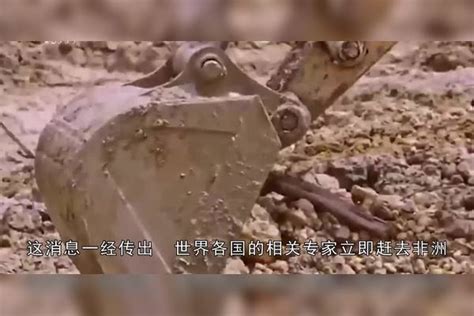 非洲惊现万米巨蟒各国专家闻讯前往探索 结果让人背后一凉 巨蟒 前往 结果