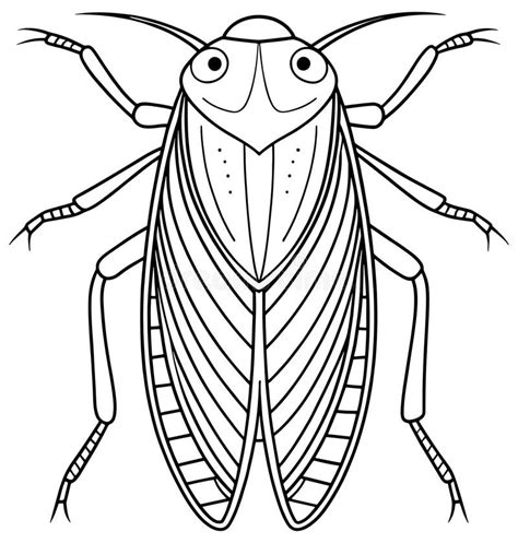 Leafhopper Page Stock Illustrations 2 Leafhopper Page Stock