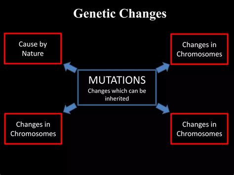 Heredity Inheritance And Variation Ppt