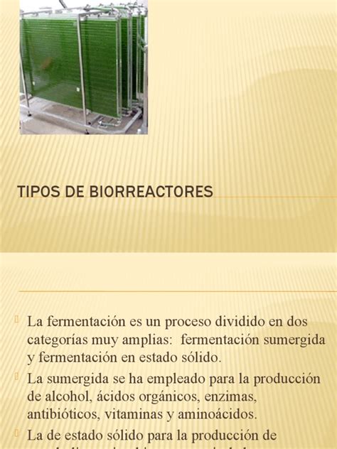 Tipos De Biorreactores Pdf Ingeniería De Tejidos Química