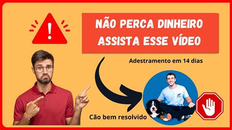 Curso Cão Bem Resolvido Transforme o comportamento do seu cão este