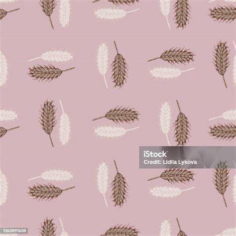 Wheat Seamless Pattern Cereal Crop Sketch Stock Illustration Download