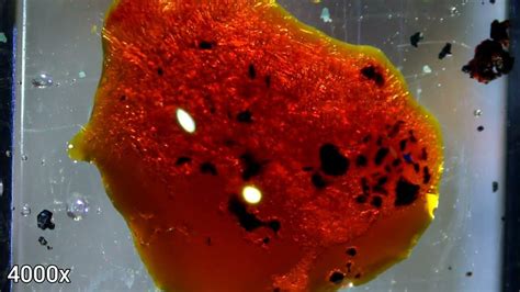 Choline Chloride Cubr2 Cucl2 🔬 Youtube