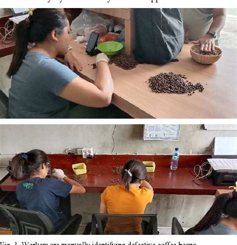 Figure 1 From Benchmarking A New Dataset For Coffee Bean Defects