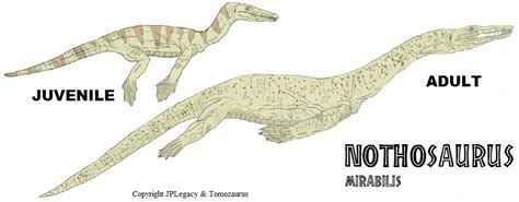 Nothosaurus Mirabilis Jpl Live The Legend Wiki Fandom Powered By Wikia