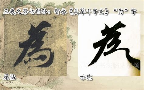 Bilibili B Yiuios