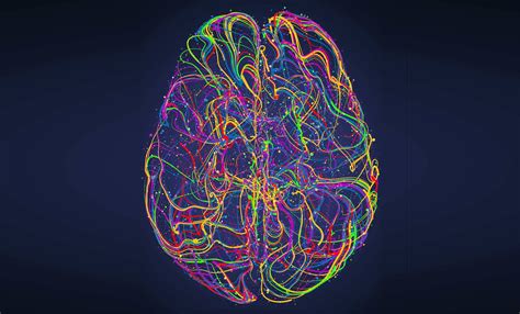 Controversy Among Leading Researchers Unraveling The Enigma Of