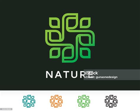 Résumé Des Feuilles Symbole Template Design Vecteur Emblème Concept