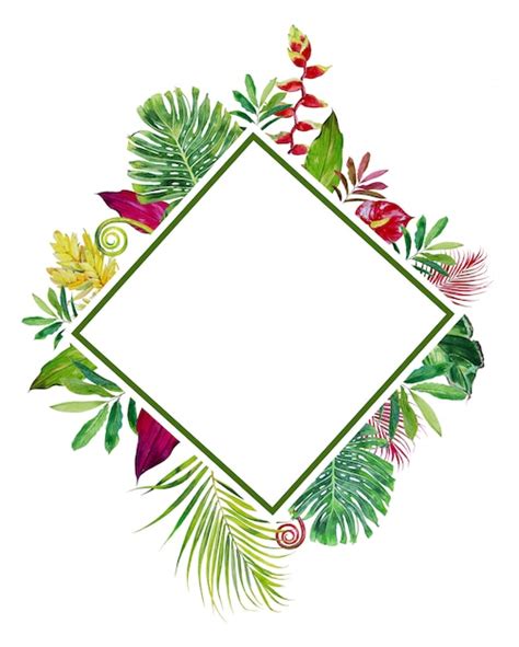 Im Genes De Marcos Plantas Trpicales Descarga Gratuita En Freepik