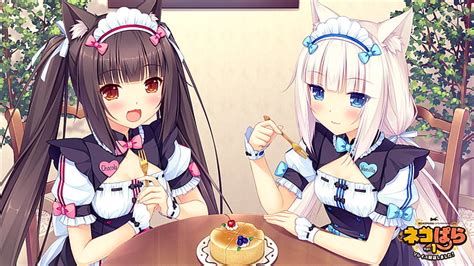 アニメ、 ネコパラ、 ショコラ（ネコパラ）、 バニラ（ネコパラ）、 Hdデスクトップの壁紙 Wallpaperbetter