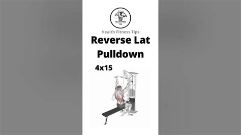 How To Lat Pulldown Correctly Youtube