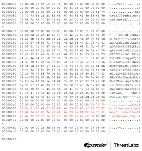 Reserachers Uncovered Zloader Dns Tunneling Tactics For Stealthy C2