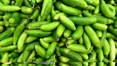 Lesser Known Benefits Of Consuming Kundru Ivy Gourd