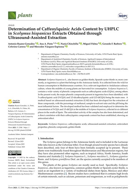 Pdf Determination Of Caffeoylquinic Acids Content By Uhplc In Scolymus Hispanicus Extracts