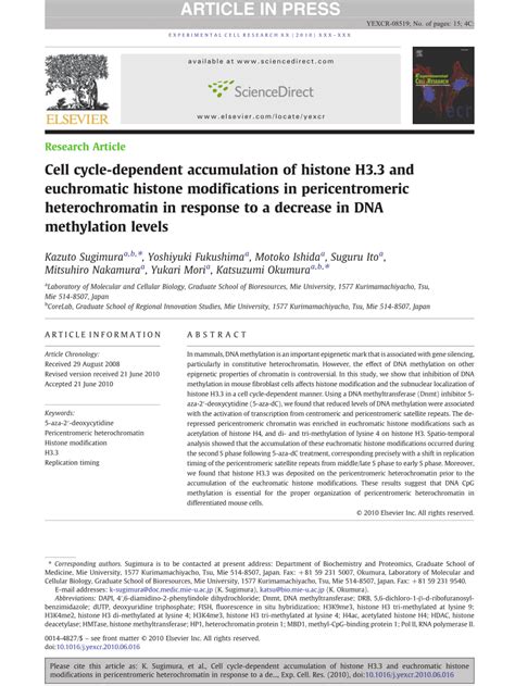 Pdf Cell Cycle Dependent Accumulation Of Histone H33 And Euchromatic
