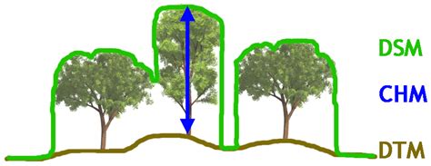 remote sensing free full text forest assessment using high