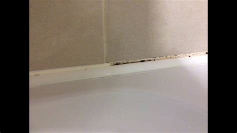 How To Remove Mould From Bathroom Walls Artcomcrea
