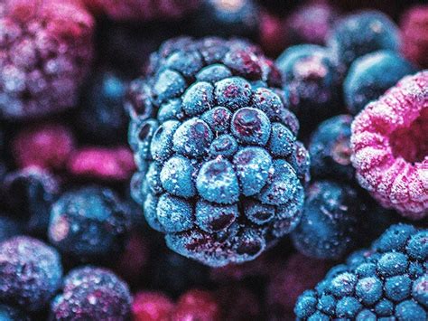 Nutrients For Hypothalamus And Pituitary Gland Production