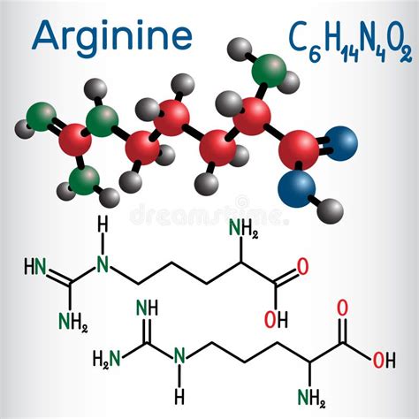 Molécula Da Arginina Arg Um ácido Aminado Usado Na Biosíntese Das