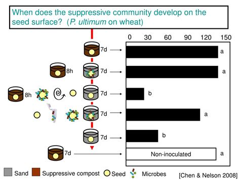 Ppt Biological Control Of Pythium Aphanidermatum Powerpoint