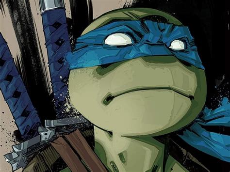 List Of Teenage Mutant Ninja Turtles Idw Collection Books Its A