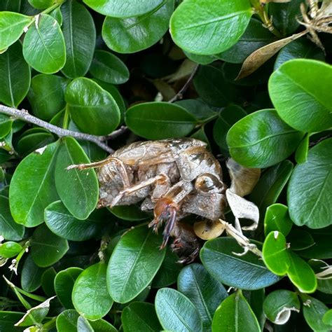 Bill Sussman Youtube