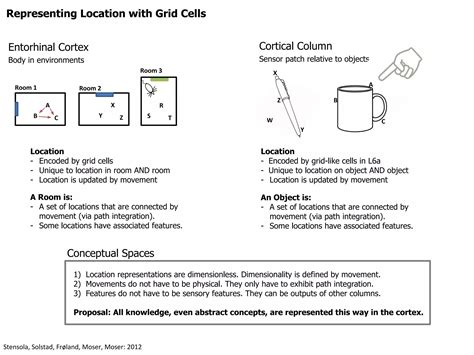Does The Neocortex Use Grid Cell Like Mechanisms To Learn The Structure Of Objects By Jeff