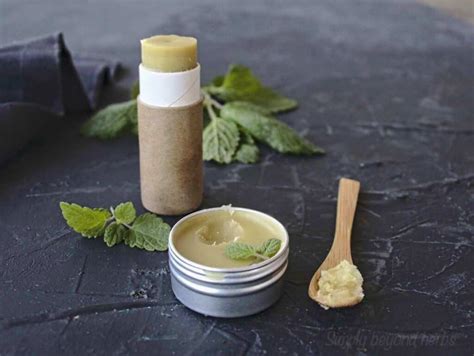 Lemon Balm Lip Balm For Cold Sore Relief Simplybeyondherbs